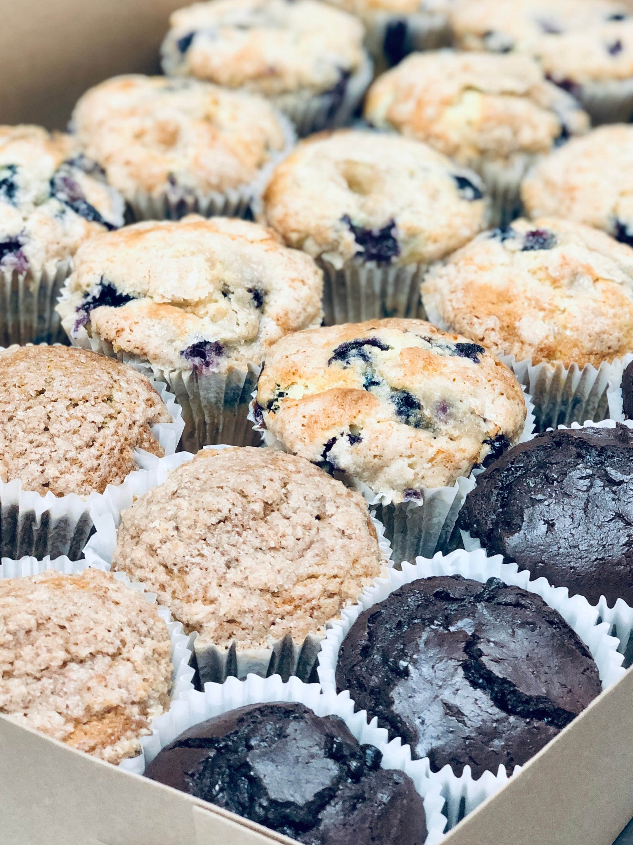 Muffins (bakery size) | Porters Coffeehouse and Bakery